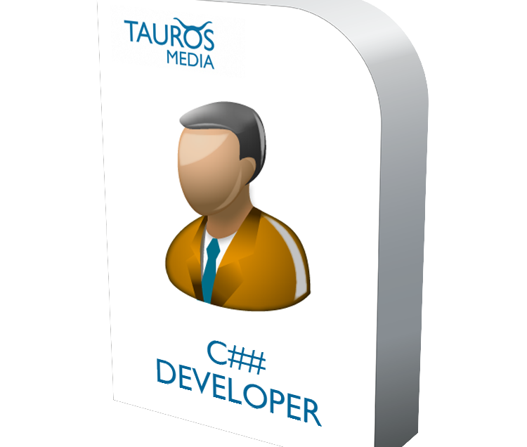 C++ developer